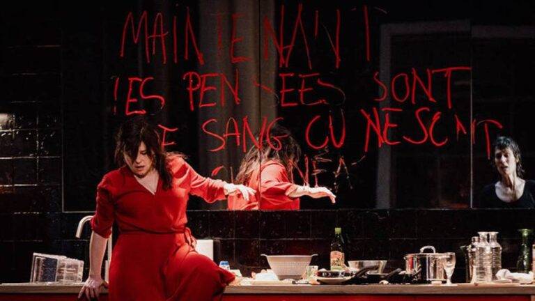 La Comédie de Clermont : la nouvelle vie de "Hamlet" par Christiane ...