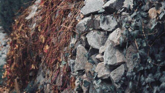 C'est le moment de participer au BEC, Budget Éco Citoyen du Puy-de-Dôme ...