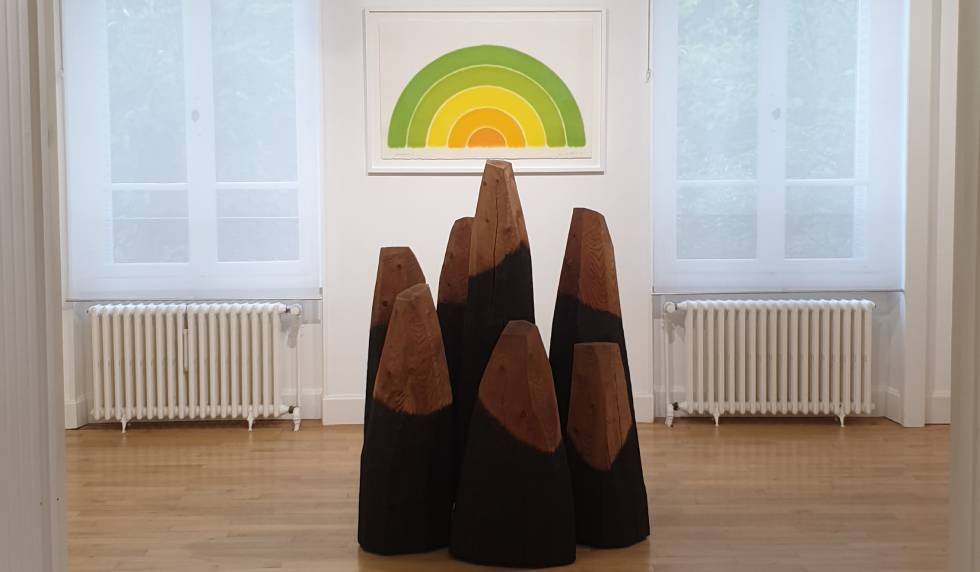 David Nash, aux racines de la création | 7JAC